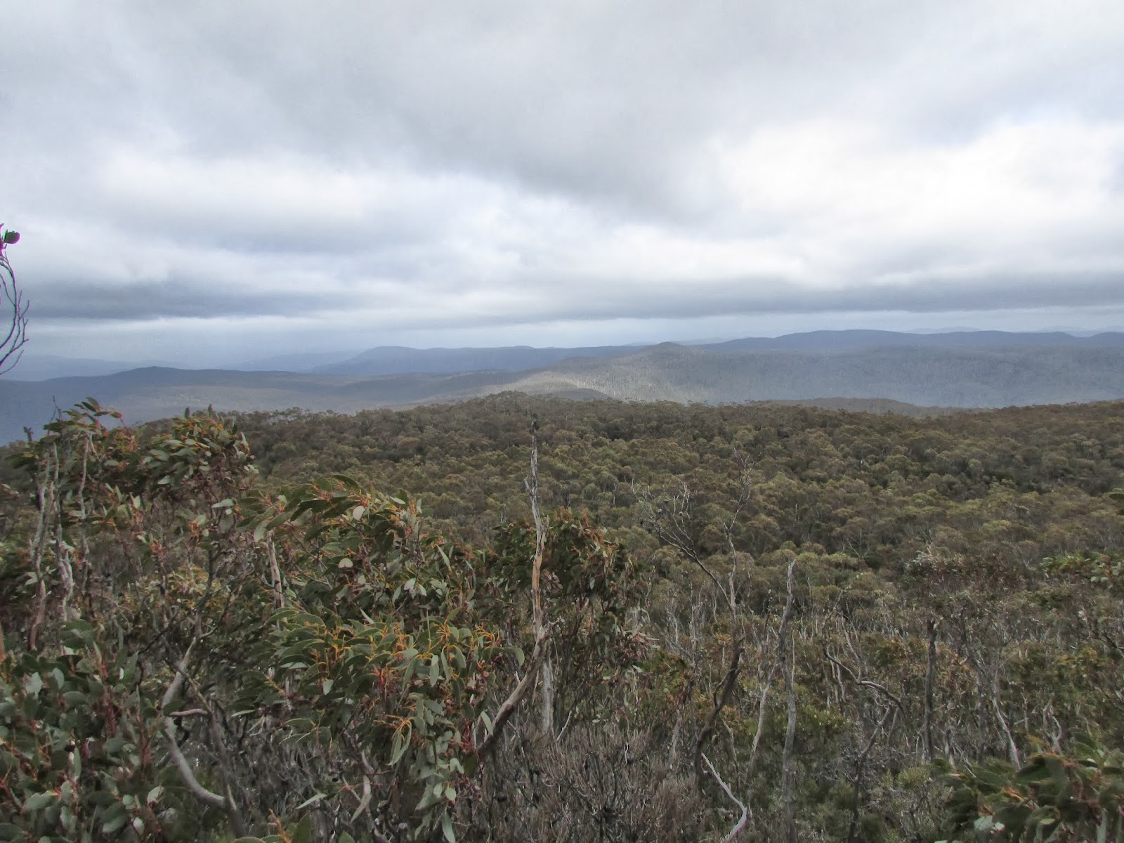 Mount Patrick | Hiking South East Tasmania