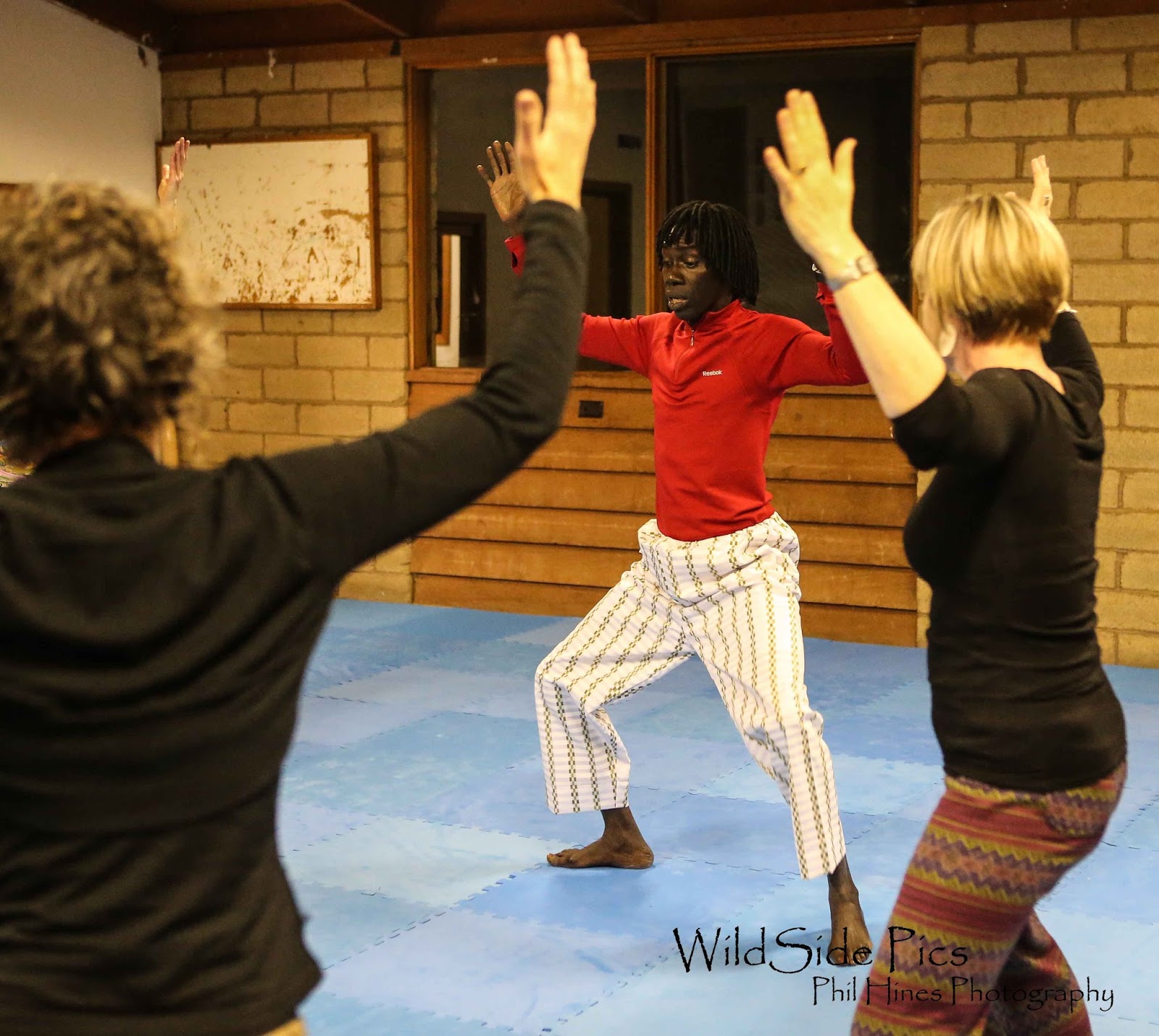 Wild Moves News and Upcoming Events