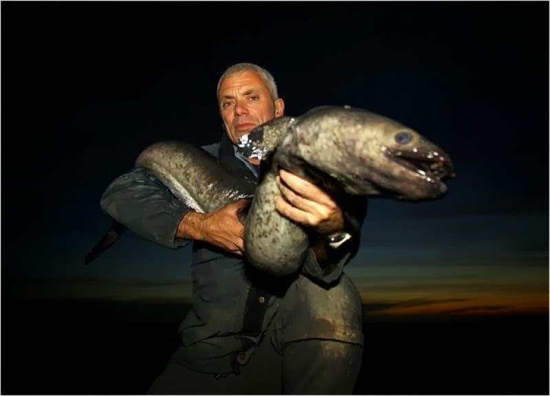 Na África Selvagem: Jeremy Wade e os seus 21 monstros do rio criaturas ...