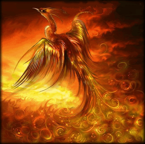 Gif Gifs Gif: Phoenix Gifs