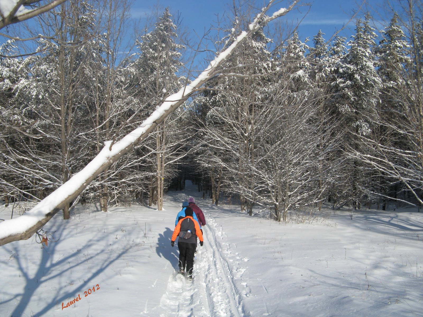 Lily on the Road: January 2012