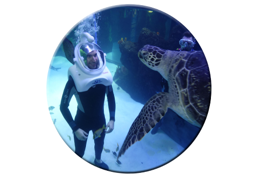 Sub Sea Systems - Our World: Ernie, the Bubble Eating Sea Turtle