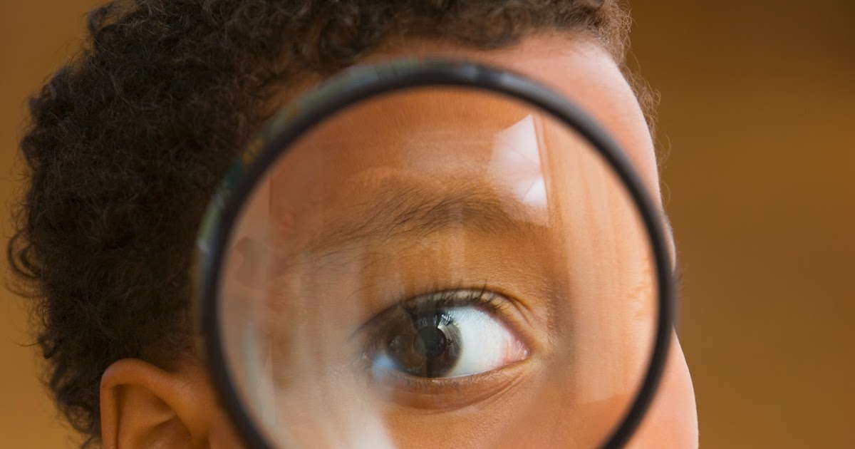 Visual Learners School Improvement Network visual-learners-school-improvement-network