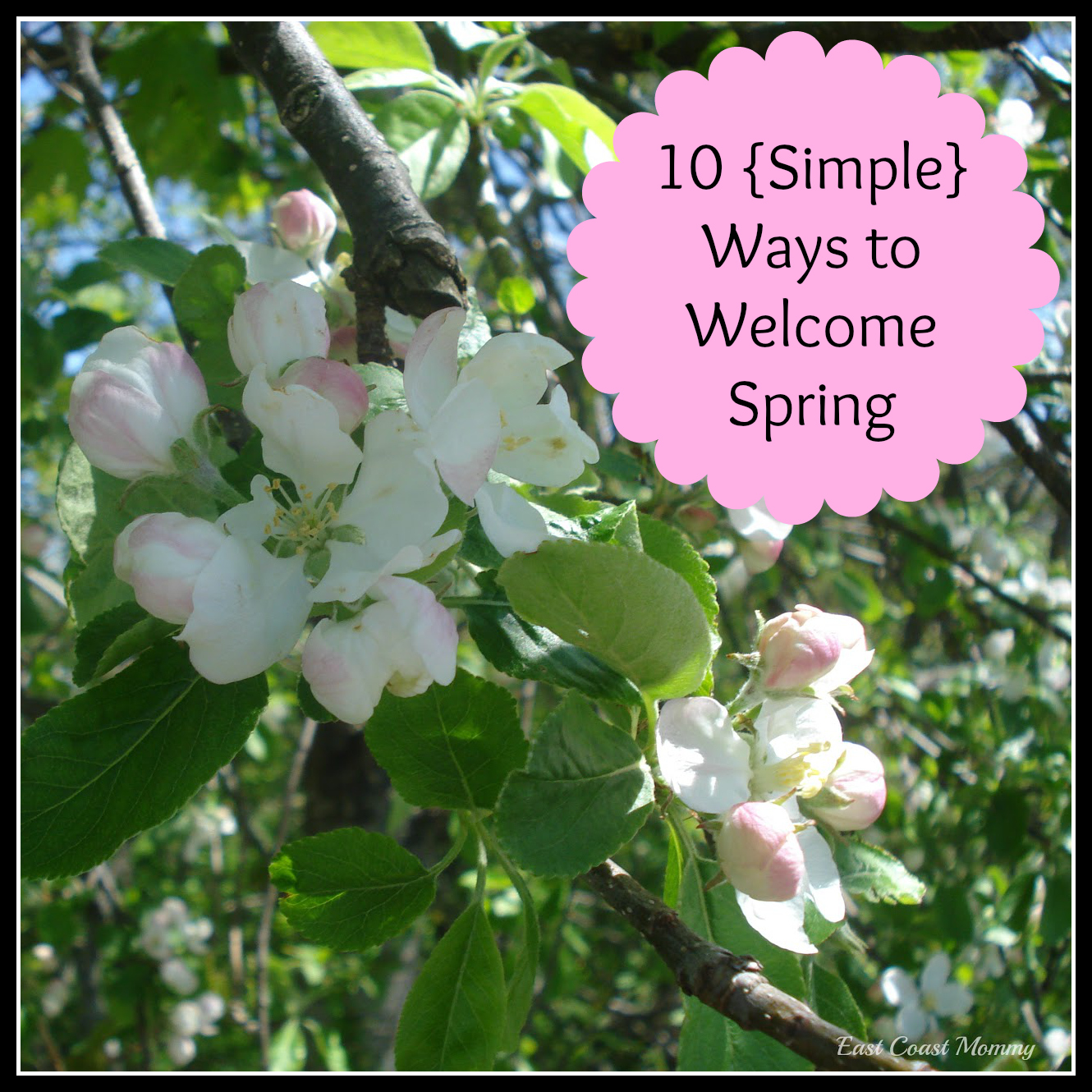 East Coast Mommy: 10 {Simple} Ways to Welcome Spring
