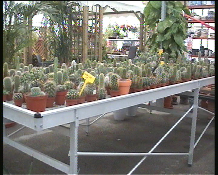 FITOSOFIA: VIVERO DE PLANTAS ORNAMENTALES-PRIMERA PARTE