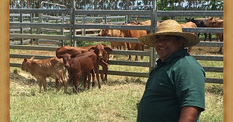 Thomsons In Tonga: Liahona Farm