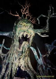 Ghost Hunting Theories: Anthropomorphic Trees