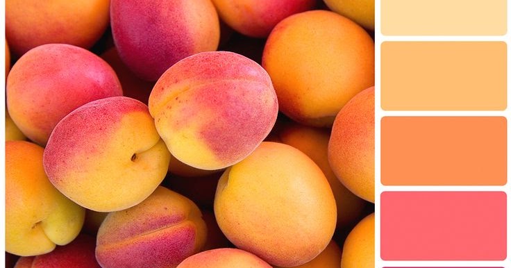 ALBICOCCA: STEP.1 Colore Albicocca
