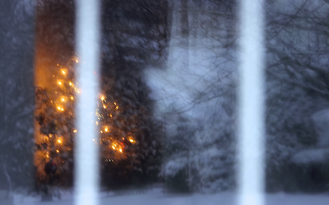 hey jude photography: *snow scene - peeking through my window at ...