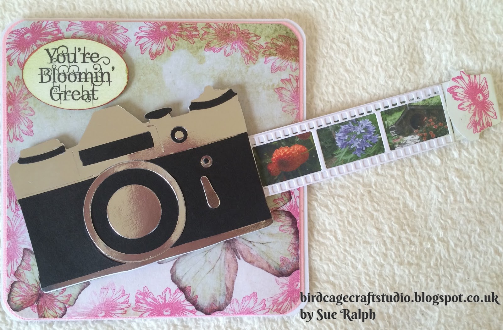 Birdcage Craft Studio: Sliding Camera Card Tutorial