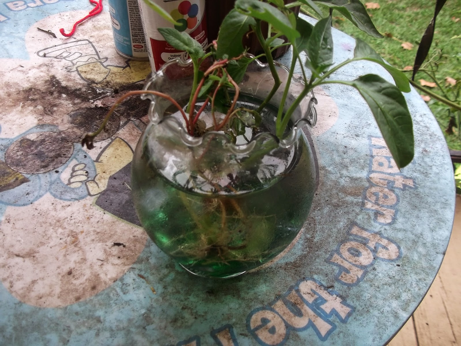 Melissas Homeschool Blog: Grid Art, Snake Skin Under Microscope, and ...