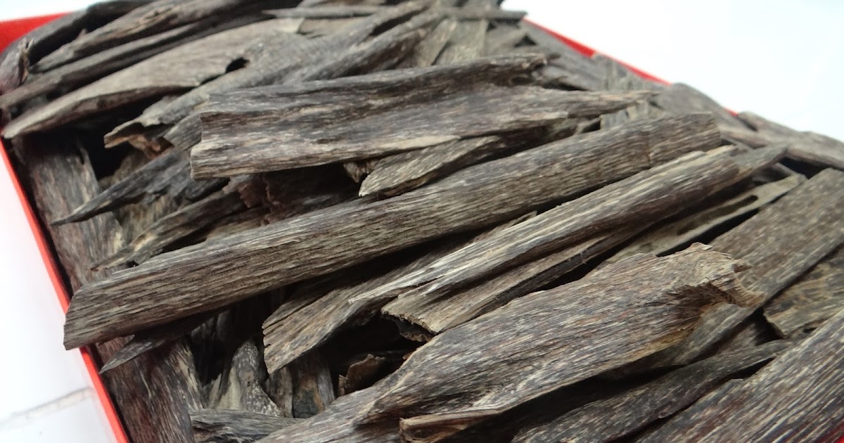 All about Gaharu Info: Siapa Pembeli Kayu Gaharu?