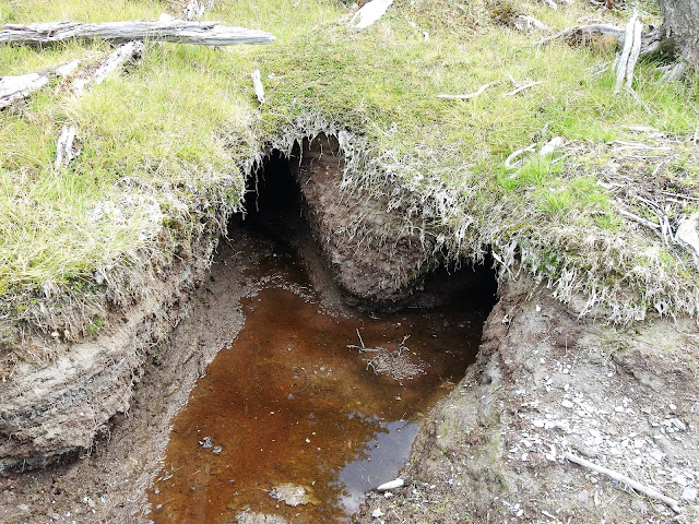 My Travel Blog: 4x4 Road Safari: The Lumberjack Trail in Ushuaia, Argentina