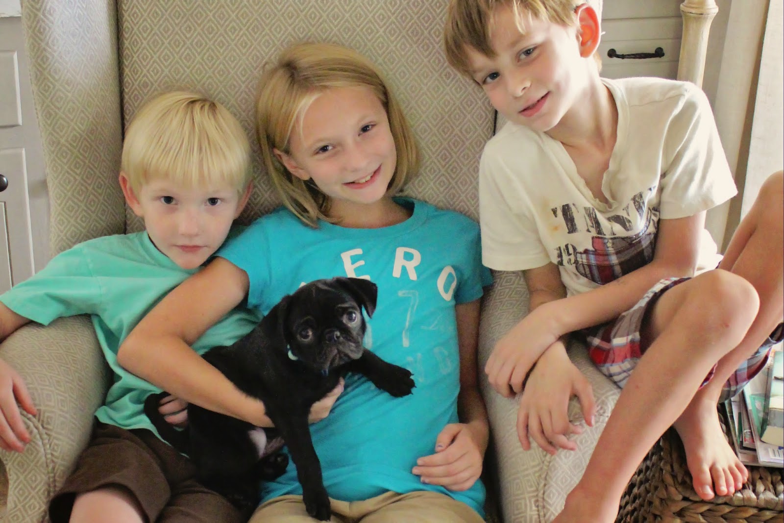 The Butlers: Pip the Pug