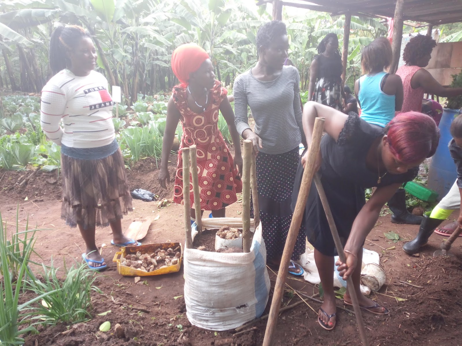 African Rural University Students' Guild: New Technologies in the ARU ...