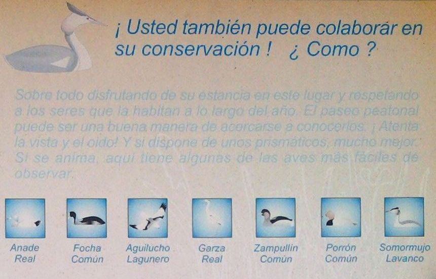 Alejandro Velázquez Martínez: Parque eólico Montes de Cierzo-Balsa del ...