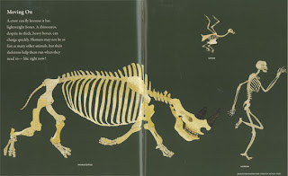 Pride Elementary Media Center Book Blog: Bones author Steve Jenkins