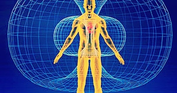 Torus blueprint of existence, every level of existence