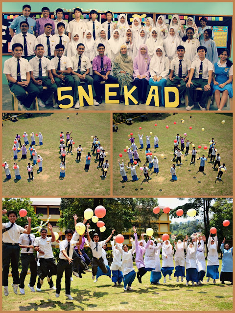 nice/rotten: 5 Nekad