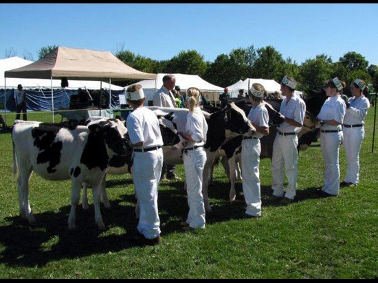 critical mass art: 182nd Annual Port Hope Fair