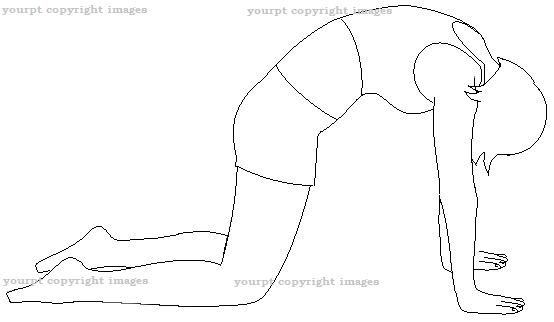 Your Physical Therapy: Physiotherapy Treatment for patient with lordosis