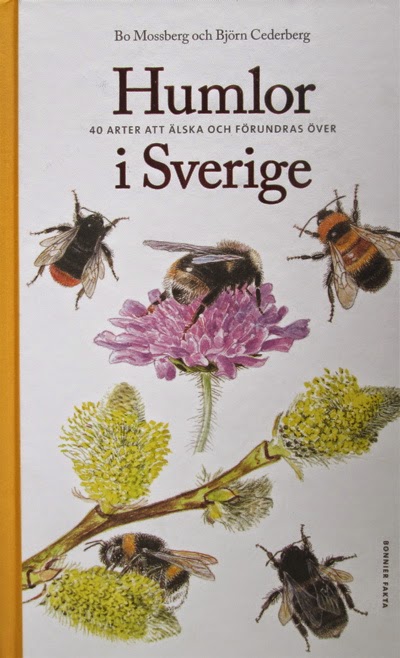 PÅ LIVETS TRASSLIGA BASTMATTA: Humlor äga företräde