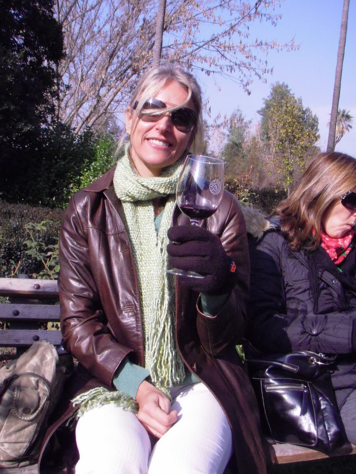 Flavia no Chile 2011