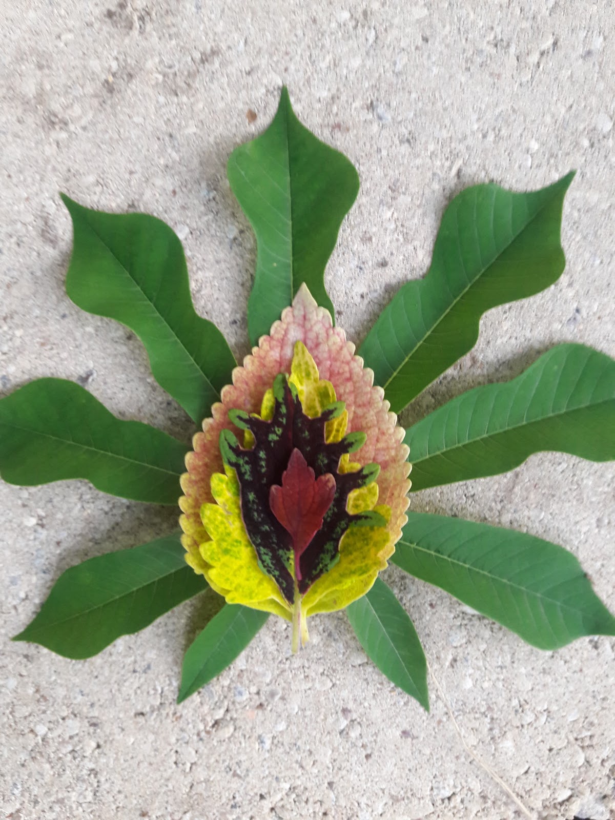 Leaf Stack Challenge