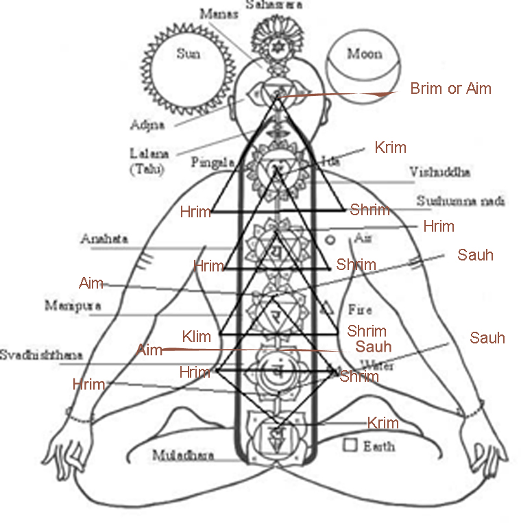 EXPLICIT CONTEXT OF HUMAN INCEPTION AND LIFE