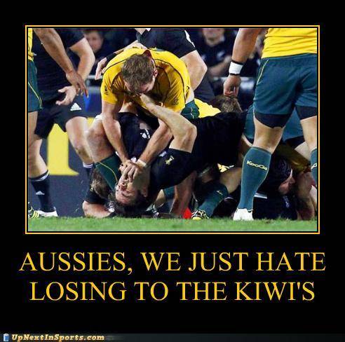 ONLY IN NEW ZEALAND | FUNNY NEW ZEALAND PICTURES | FUNNY INDIAN ...