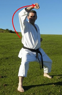 TANZANIAN KARATE: TSUKI (NGUMI)