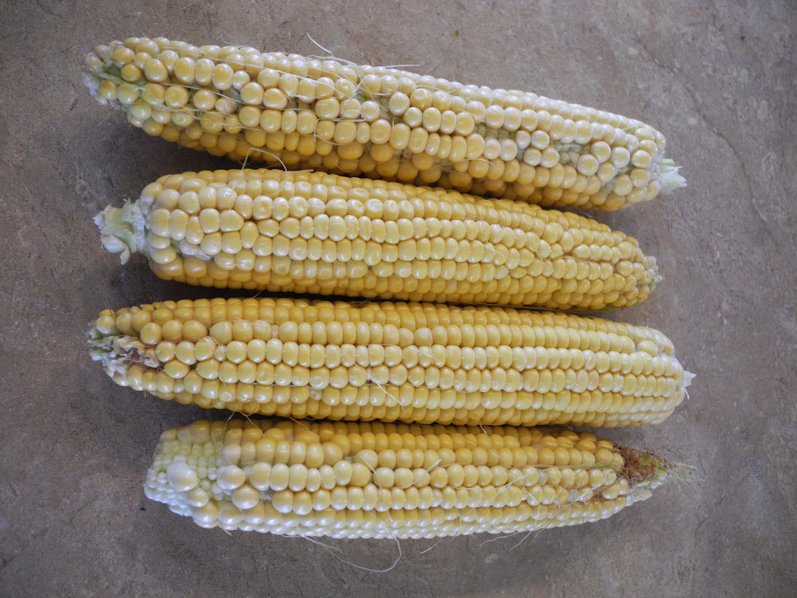 Raising Kids, Cows and Corn