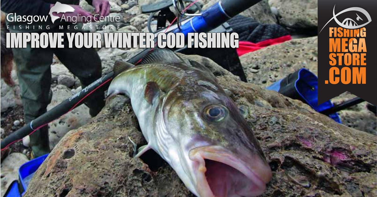 Catching Winter Cod on Rough Ground