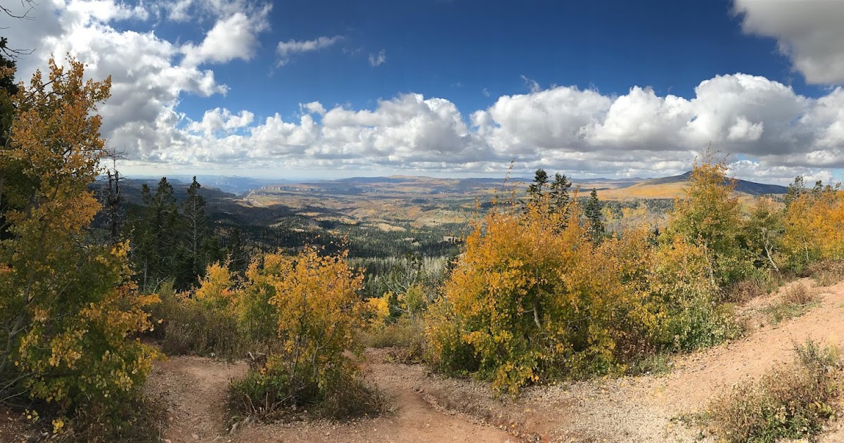 Welcome To My Random Life: Duck Creek, Utah