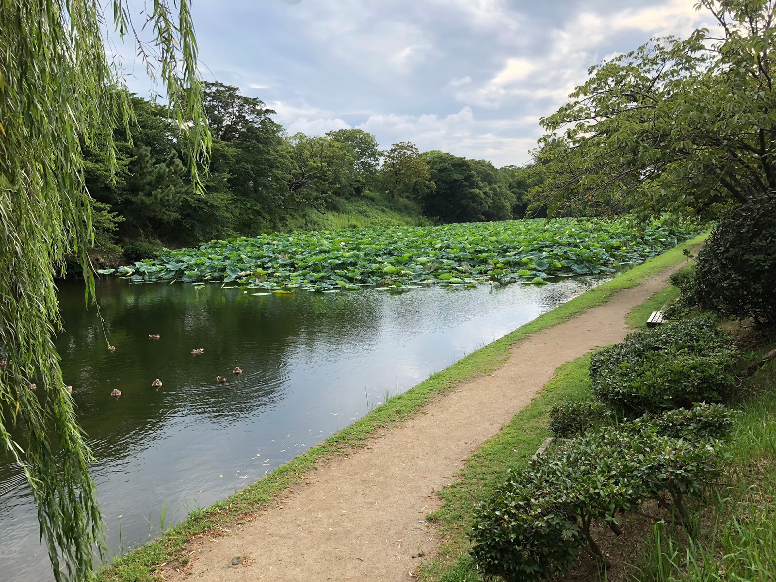 Japón: Día 10: Kyushu – Visitando el Parque Ohori de Fukuoka ...
