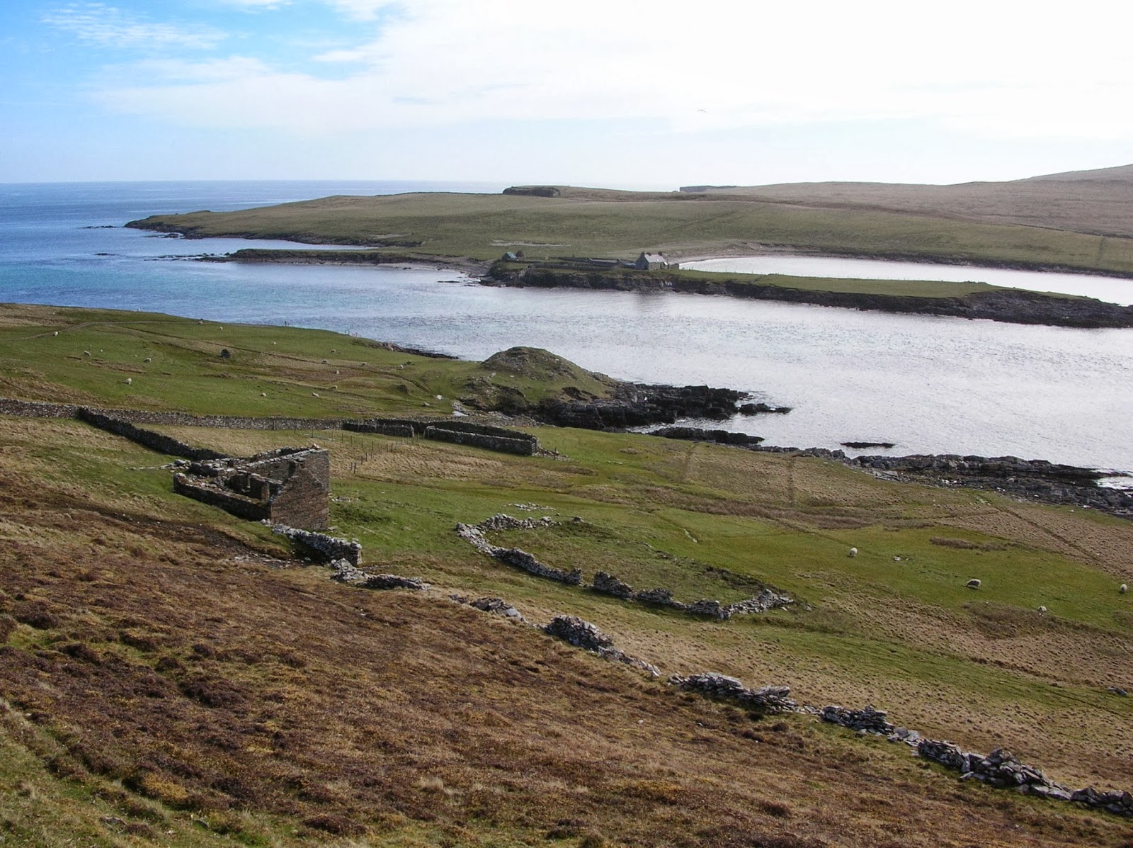 A lifetime of Islands: Island 203 - Noss, Shetland