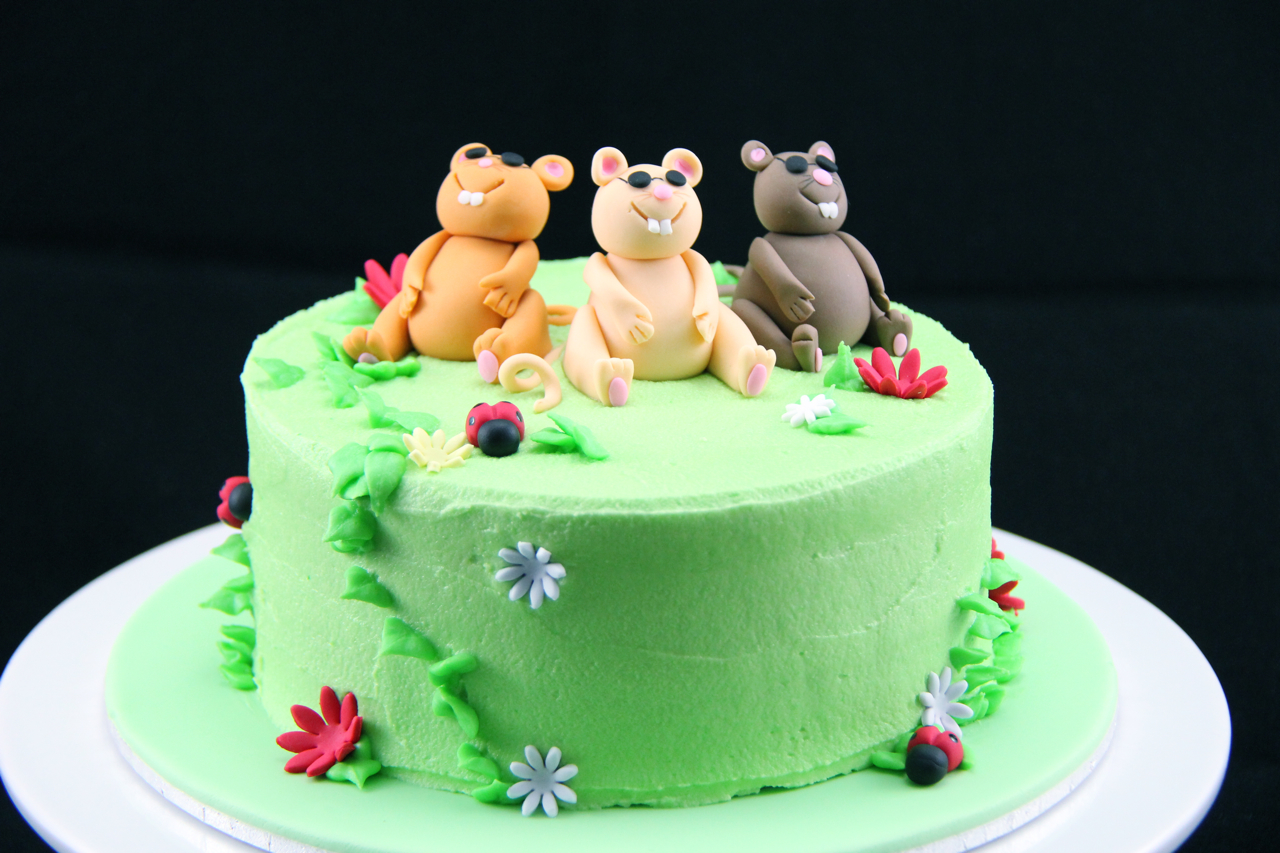Coco Jo Cake Design: Three Blind Mice