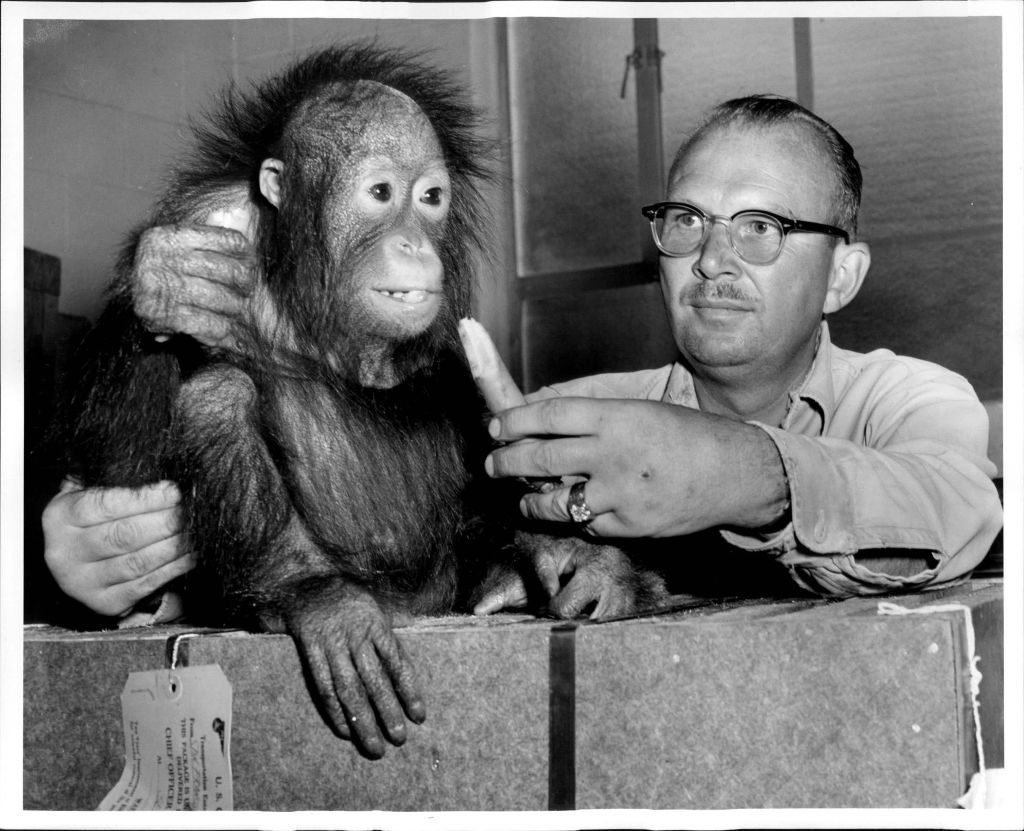 The Circus "NO SPIN ZONE": 08/07/12