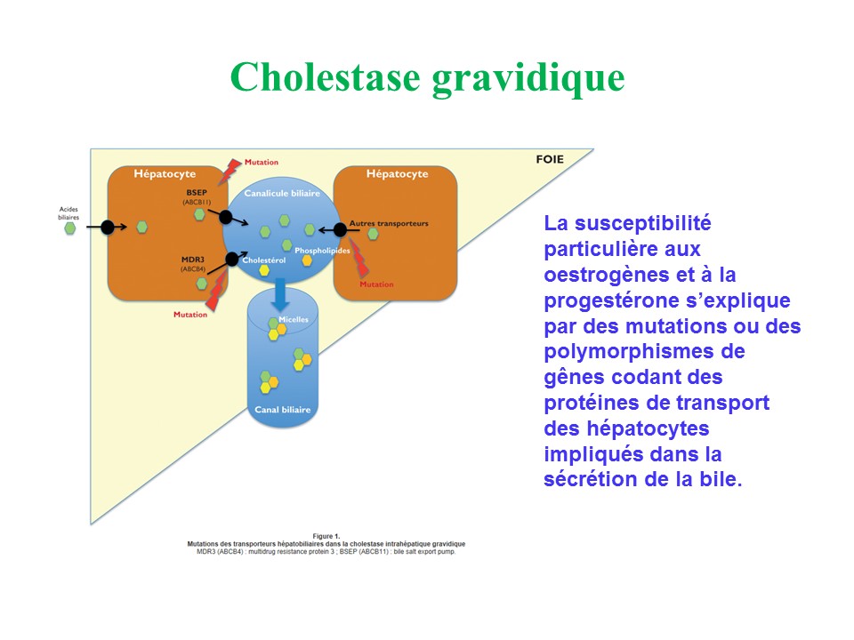 CAnalyses: Etudes de Cas Analyses Medicales: Cholestase Gravidique et ...