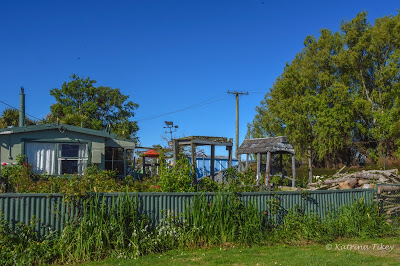 Paws Awhile: Selwyn Huts