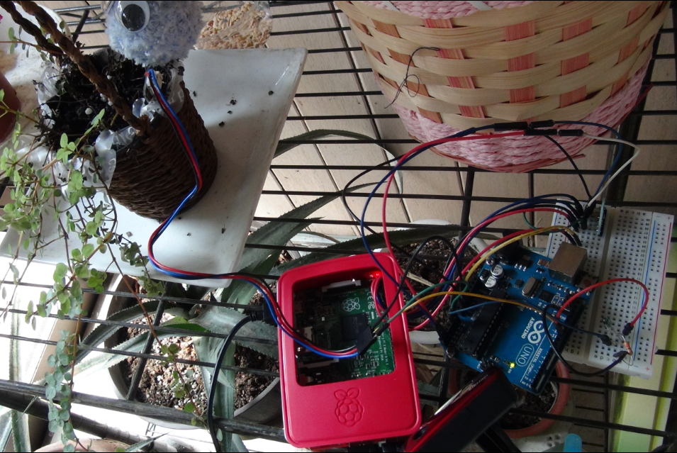 PiTs laboratory: RaspberryPiでラズベリー栽培 土壌センサと日照センサ