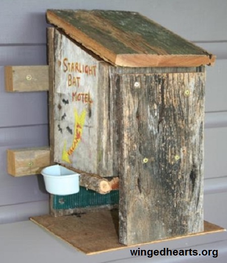 Building Bathouses For Microbats