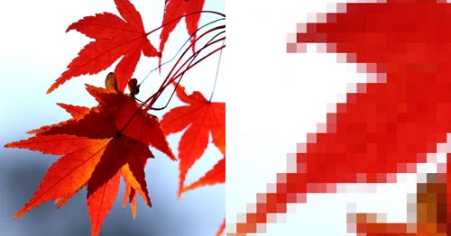 Image Processing : What is a Raster Image Processor?