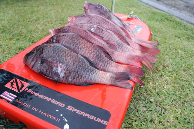 One More Drop Hawaii: Munu are delicious