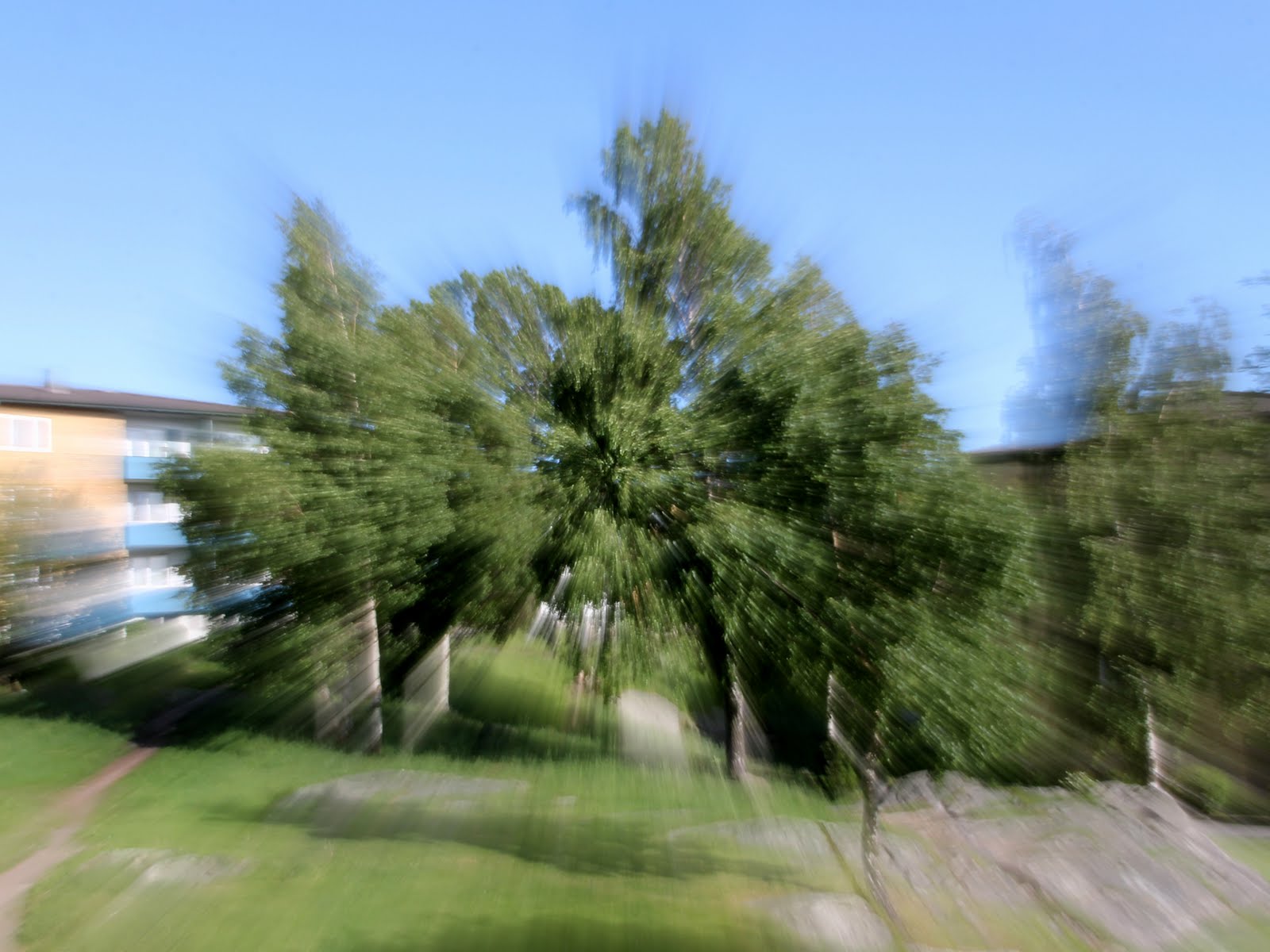 Click! Snap! Shot!: Zoom Photography - Tree