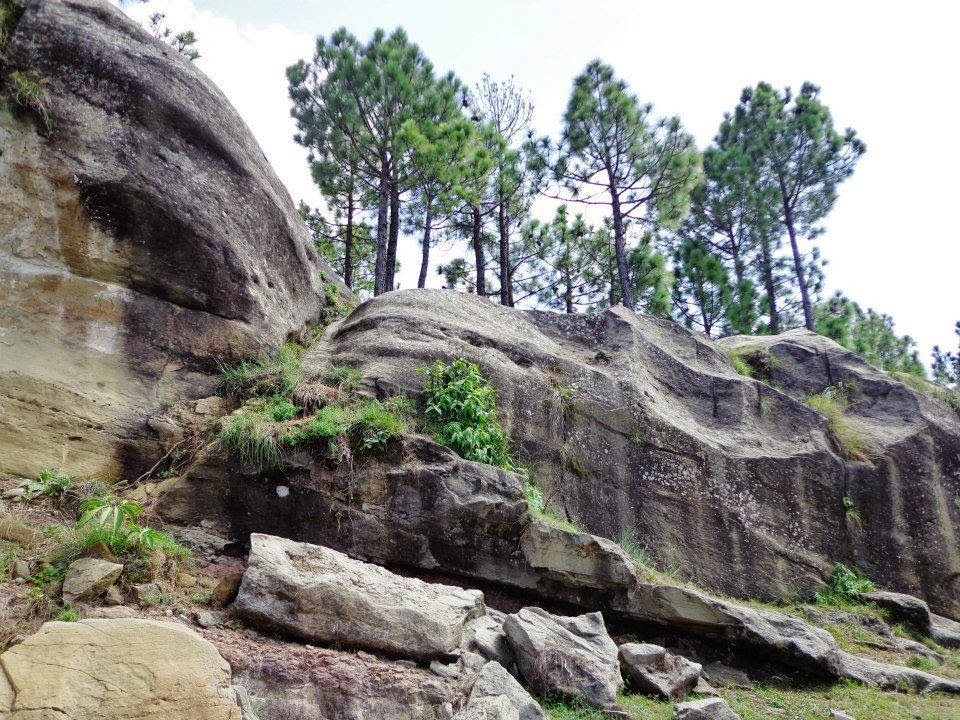 NidoKidos Official Blog: [nidokidos] Panj Peer