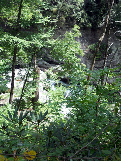 Hiking with a Fat Bald White Guy: Linville Gorge - Spence Ridge ...