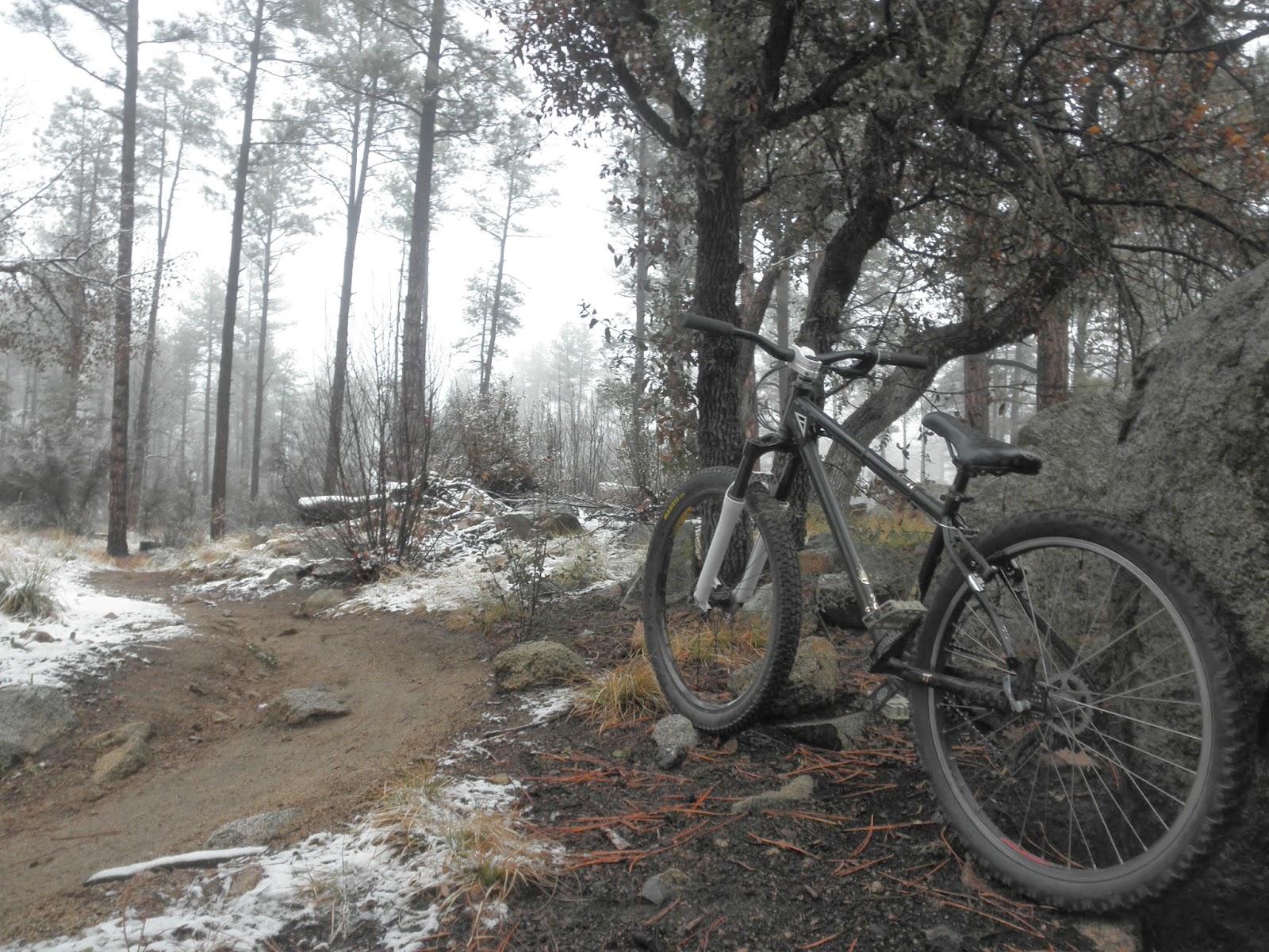 Southwest Sounds And Cyclery | atelier-yuwa.ciao.jp