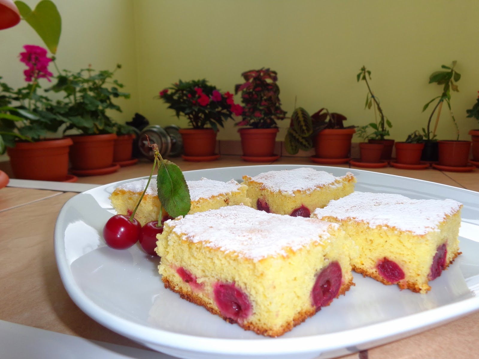 susu: Pandispan cu capsuni/visine