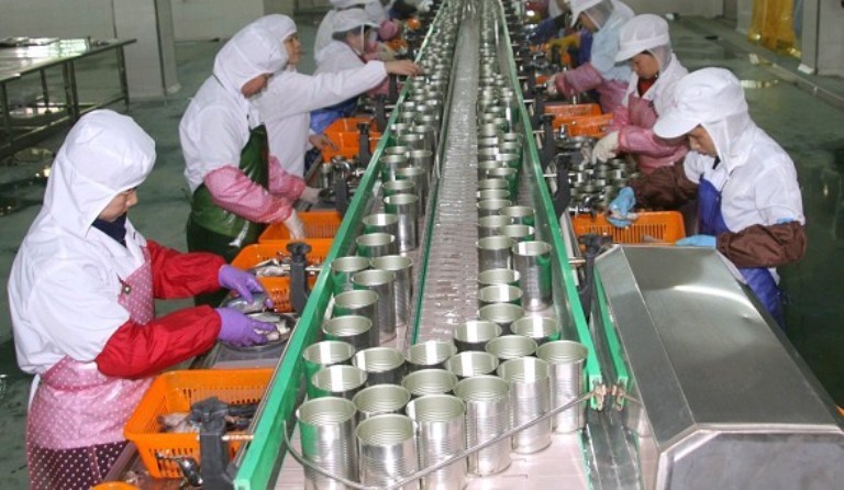 Sardine Production Line Packing Methods - Sardine Fish Indonesia ...